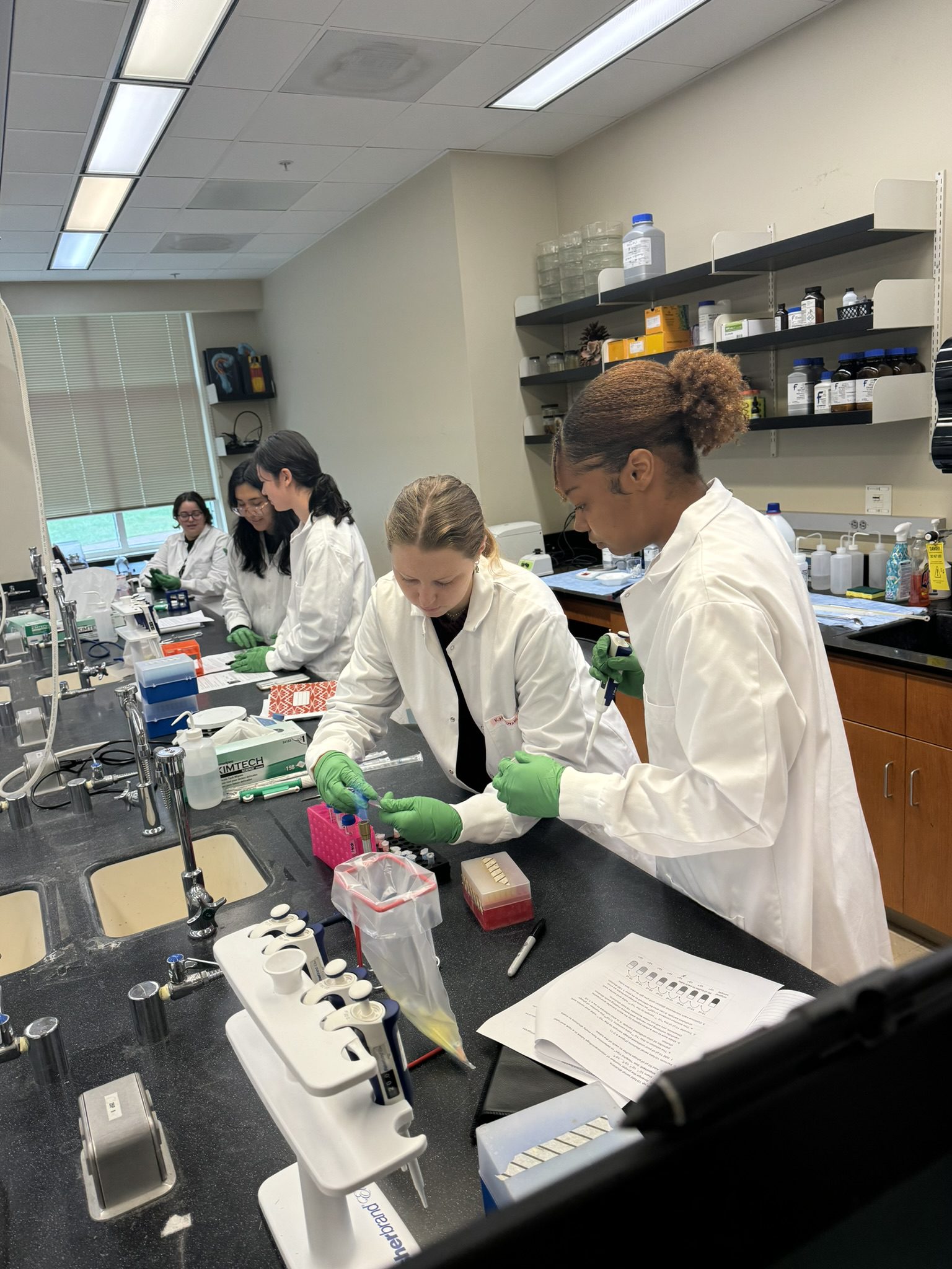 Biotechnology, Minor - Academics