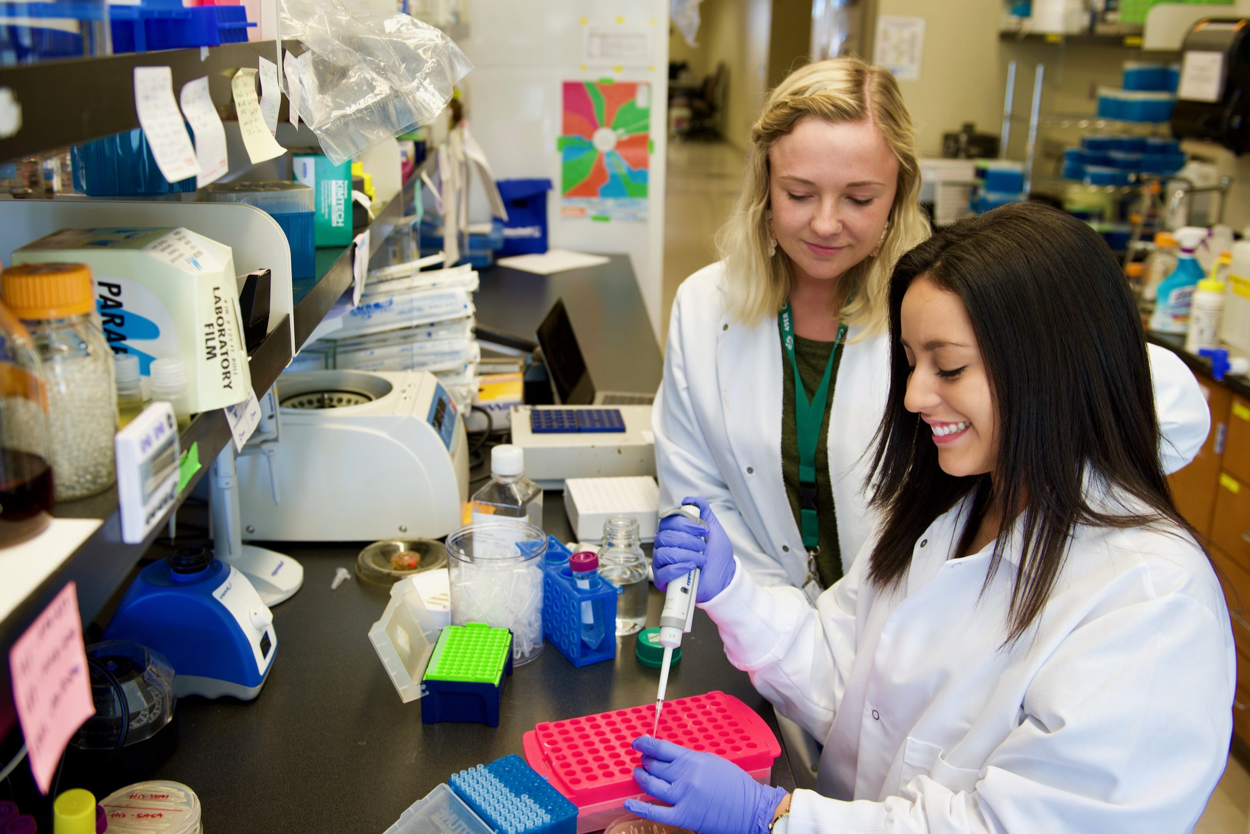 Biology, Ph.D. - Academics